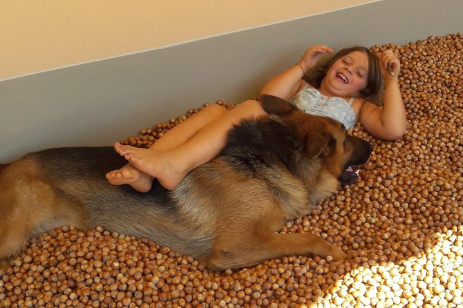 Discovering Roero and Its Wines - The Private Tour and Its Exclusivity