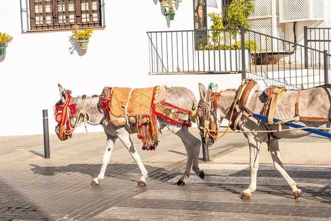 Discovering the Best of Mijas Private Guided Tour - Who Will Love This Tour?
