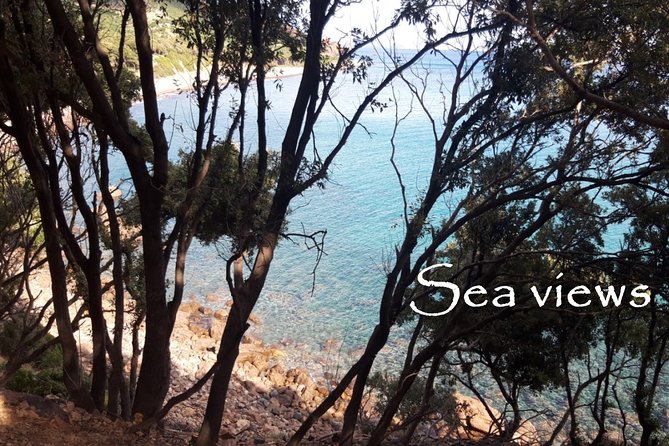 Discovering the Land of the Centenaries and swimming in the Natural Pools - Authentic Feedback from Past Participants