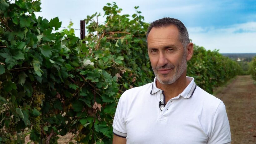 Discovering the mystery grape varieties - A detailed look at the experience