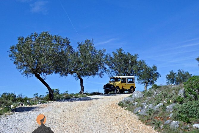 Discovering the Roman Ruins of Conímbriga and the Caves of Sicó - Planning Your Visit: Meeting and Pickup Details