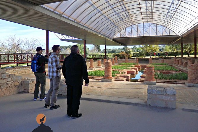 Discovering the Roman Ruins of Conímbriga and the Caves of Sicó - Making the Most of Your Tour Experience