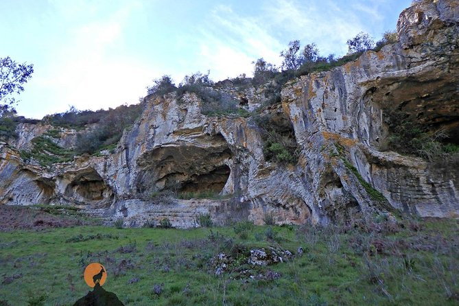 Discovering the Roman Ruins of Conímbriga and the Caves of Sicó - Understanding Cancellation and Reservation Policies