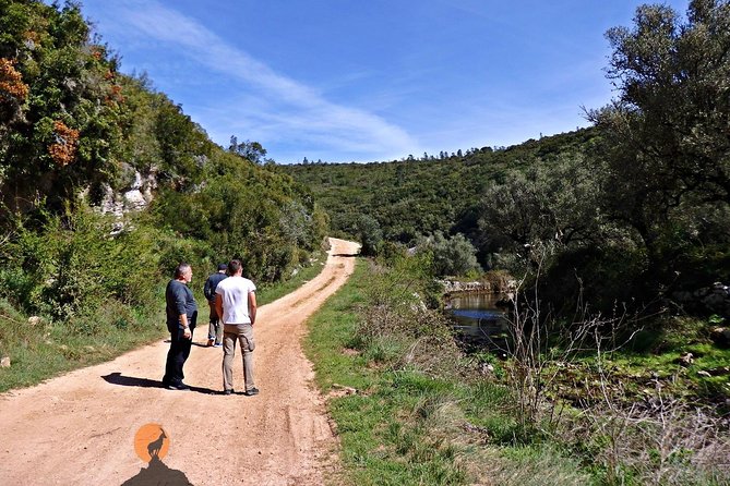 Discovering the Roman Ruins of Conímbriga and the Caves of Sicó - Highlights From Traveler Reviews and Feedback