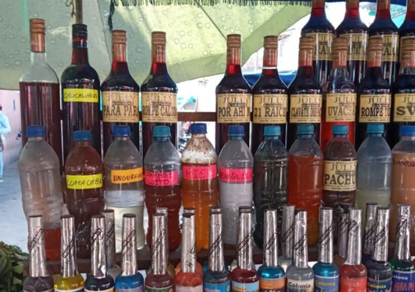 Discovering the secrets of the Amazon: Guided tour of Belén - An In-Depth Look at the Tour