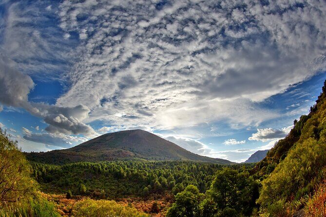 Discovering the Vesuvius - VIP tour / Small group - An In-Depth Look at the Tour Experience
