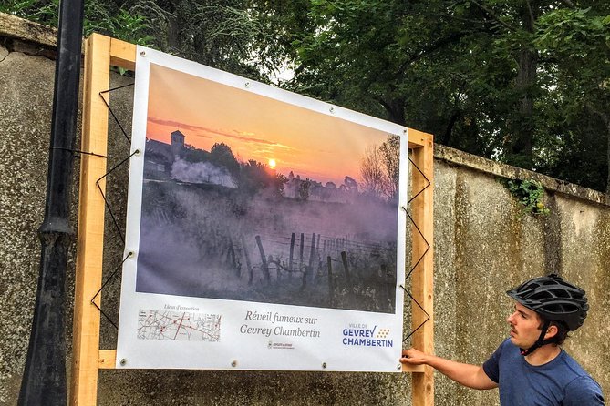 Discovery by Bike & Tasting in the Vineyards - Safety Measures and Accessibility