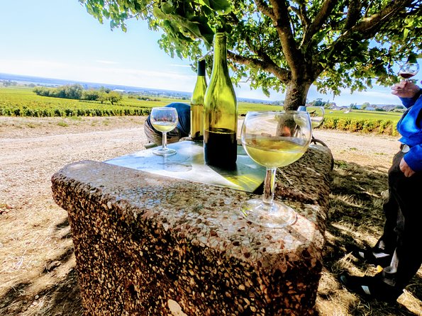 Discovery by Bike & Tasting in the Vineyards - Booking Your Adventure in Chenôve