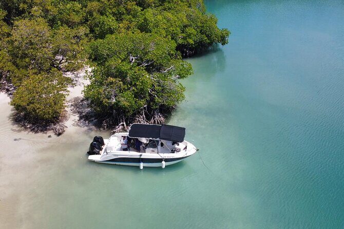 Discovery day at La Baignoire de Joséphine on the windward side - Key Points