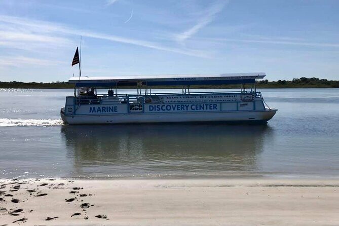 Discovery Dolphin Boat Tour - Key Points
