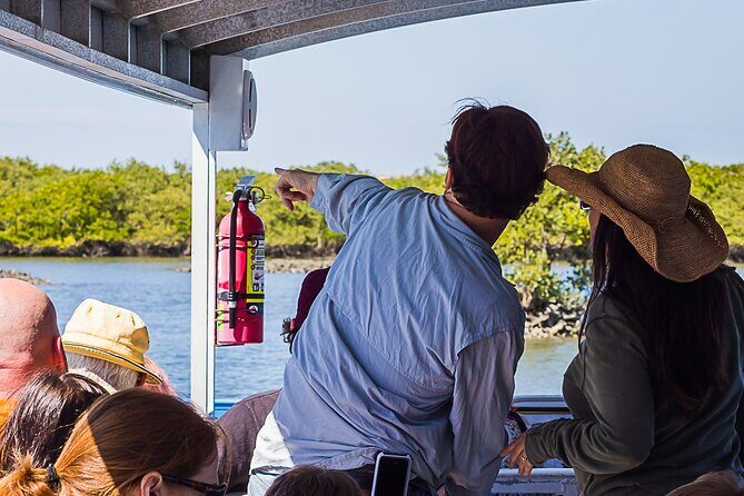 Discovery Dolphin Boat Tour - What to Expect on the Discovery Dolphin Boat Tour
