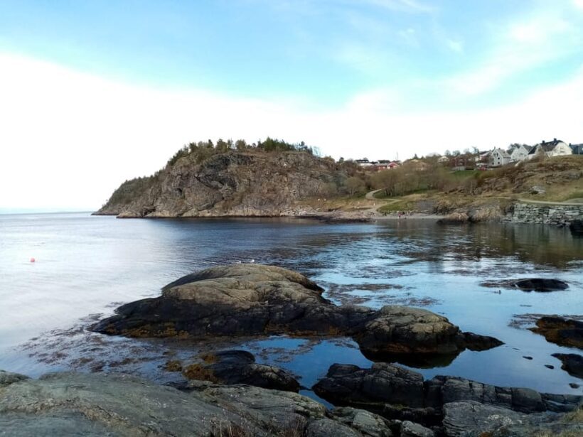 Discovery hike along the Trondheimsfjord - Why Travelers Love This Hike