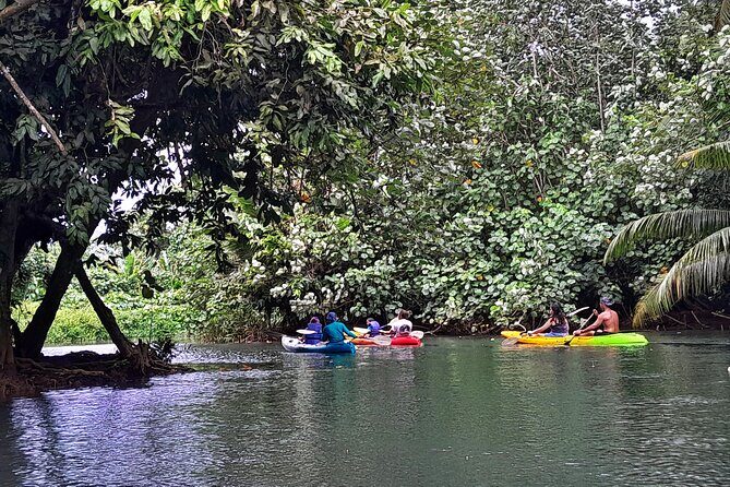 Discovery in Kayaking of the Faaroa River in Raiatea - Practical Tips for Travelers