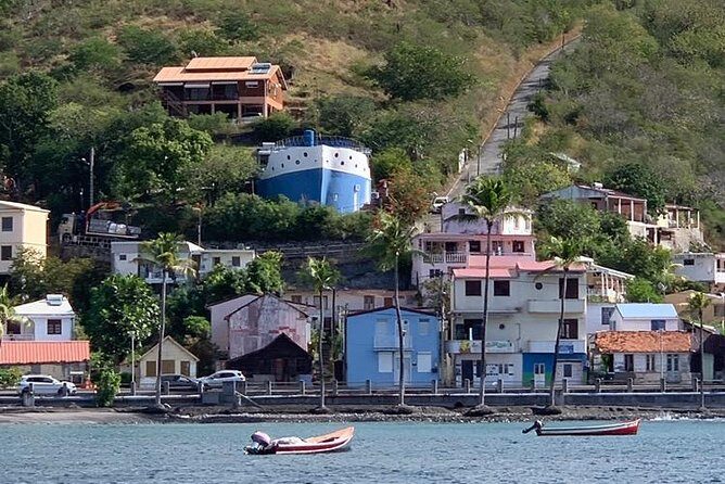 Discovery of dolphins on the Caribbean coast - Who Should Consider This Tour?