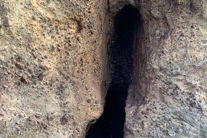 Discovery of dolphins on the Caribbean coast - FAQs