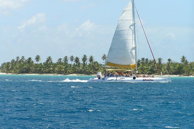 Discovery Package Saona Island & ATV From Punta Cana - What Travelers Say: Honest Feedback from Past Participants