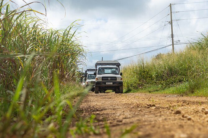 Discovery Safari - An In-Depth Look at the Discovery Safari Experience