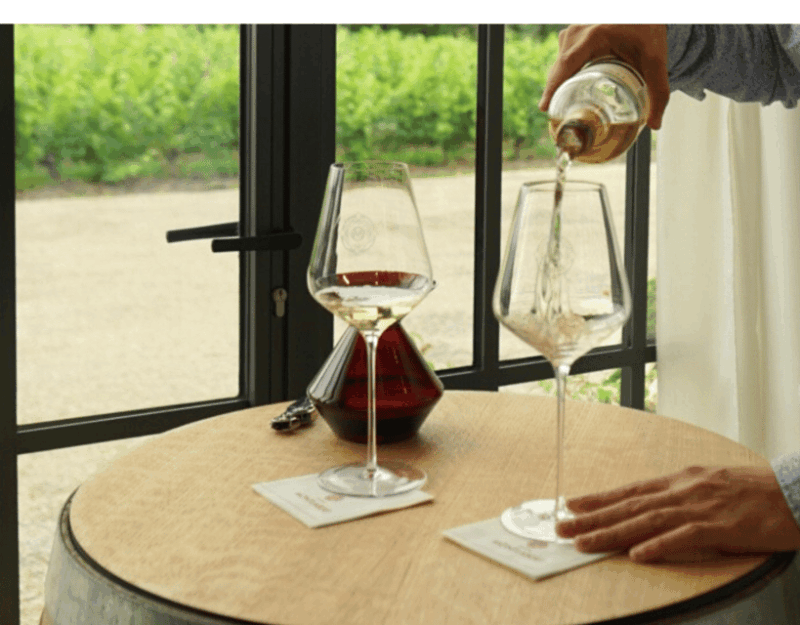 Discovery Tasting at the Cave De Montlabert - Discovering Atypical White Bordeaux