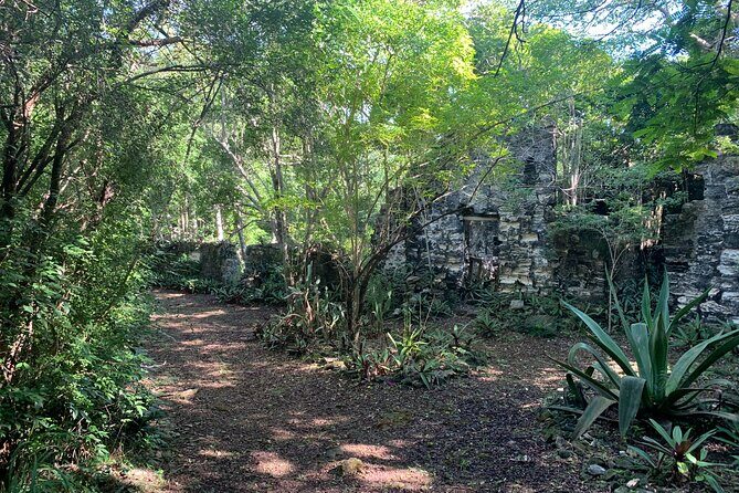 Discovery Tour and Treasure Hunt ( North and Middle Caicos) - FAQ