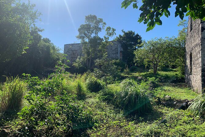 Discovery Tour and Treasure Hunt ( North and Middle Caicos) - Final Thoughts