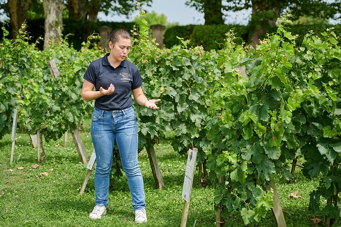 Discovery Tour of Château Haut Breton Larigaudière - The Practical Side: Booking, Price, and Group Size