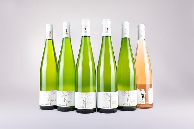 Discovery Vineyard - Final Thoughts