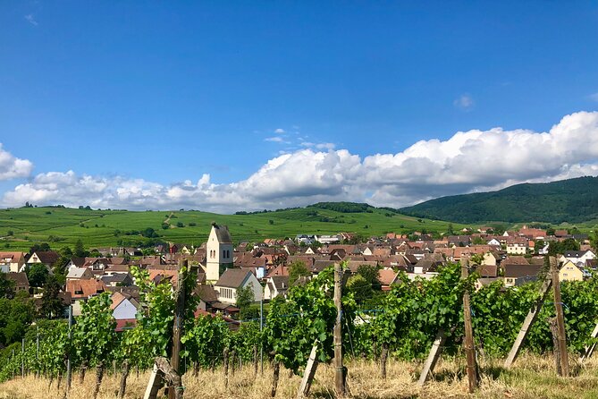 Discovery Vineyard - FAQ