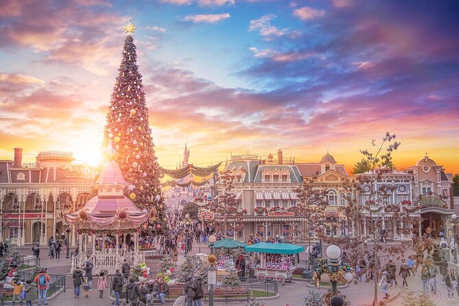 Disneyland® Paris 1 Day With Round-Trip Train Tickets From Paris - Accessibility Options at Disneyland® Paris