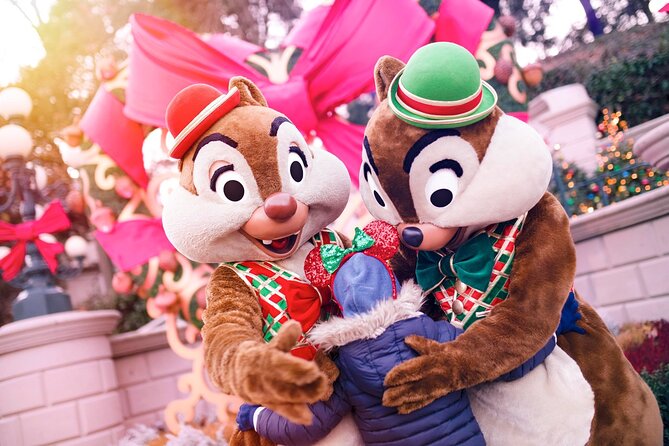 Disneyland® Paris 1 Day With Round-Trip Train Tickets From Paris - Pricing Information and How to Book Your Adventure