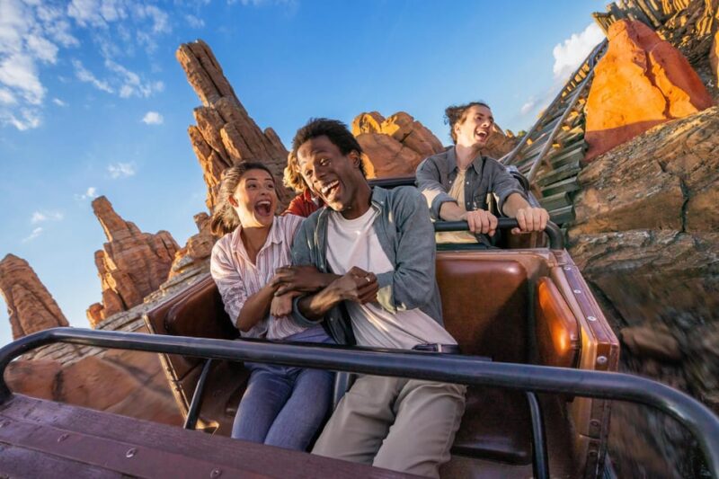 Disneyland® Paris Tickets and Shuttle Transport - Key Points