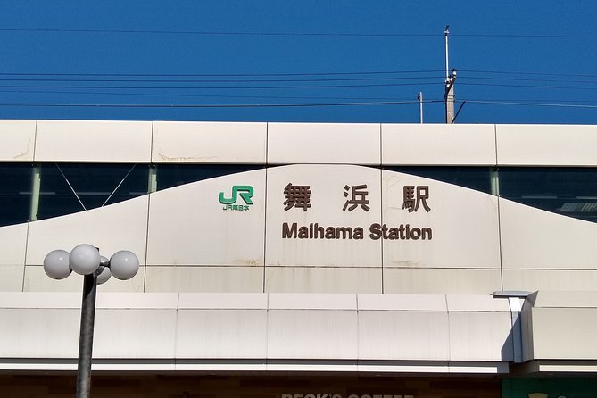 Disneyland/Sea Ticket & Private Morning Ride From Hotel in Tokyo! - Customer Experiences