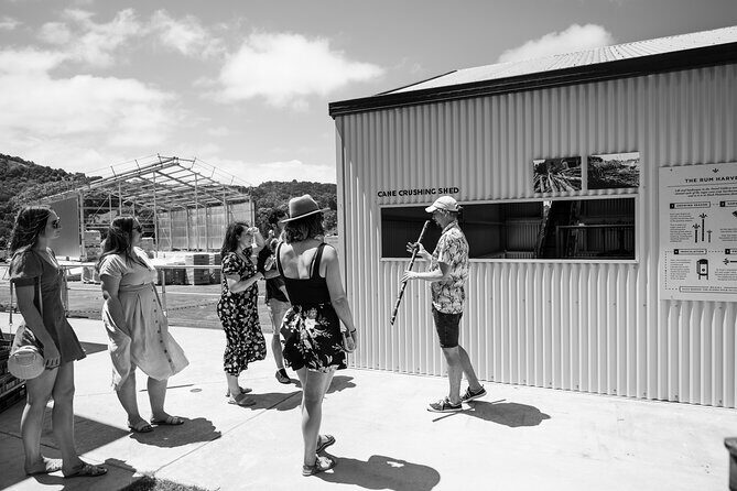 Distillery Daily Tour - Summary of the Experience