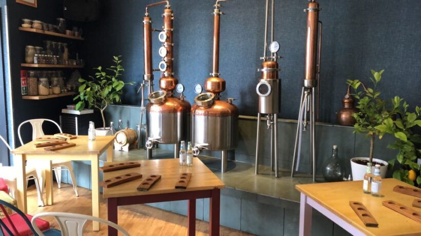 Distillery Masterclass - 8 Scottish gins paired with cheeses - Introduction