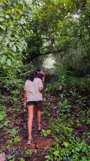 Divar Island Excursion with a Native Islander - Key Points