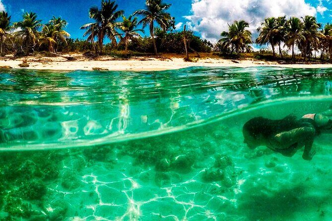 Dive Boat Tour on Catalina Bayahibe Island - Key Points