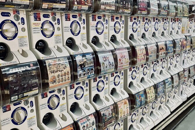 Dive Deep into Anime & Manga Culture & Karaoke in Nakano - Practical Details and What You Can Expect