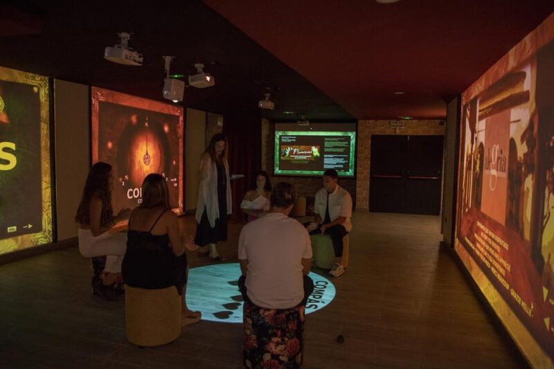 Dive In and Discover: Flamenco in an Interactive Journey - Location and Practical Details