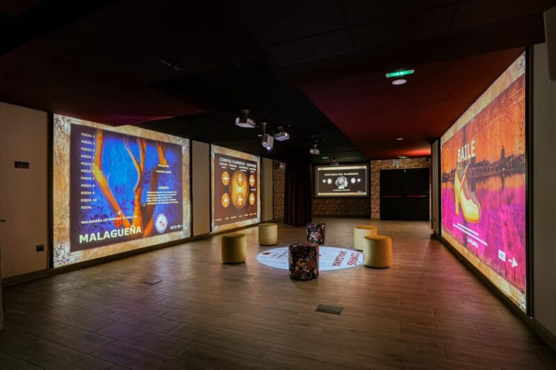 Dive In and Discover: Flamenco in an Interactive Journey - Who Is This Tour Best Suited For?