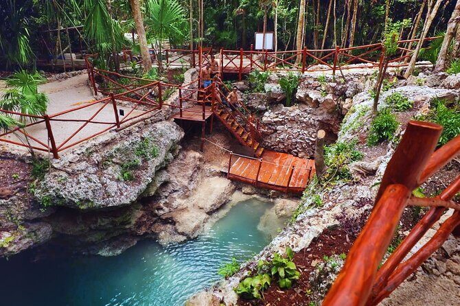 Dive Into Paradise: Cenote Tour - Introduction: Why Choose this Cenote Tour?