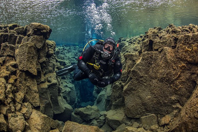 Dive the Divide: Silfra Fissure Review - Exploring the Underwater Landscape