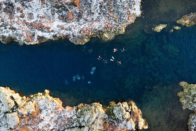 Dive the Divide: Silfra Fissure Scuba Tour | Meet at Thingvellir - Important Booking Information