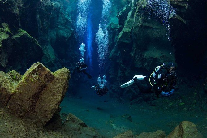 Dive the Divide: Silfra Fissure Scuba Tour | Reykjavik Pickup - Analyzing the Value