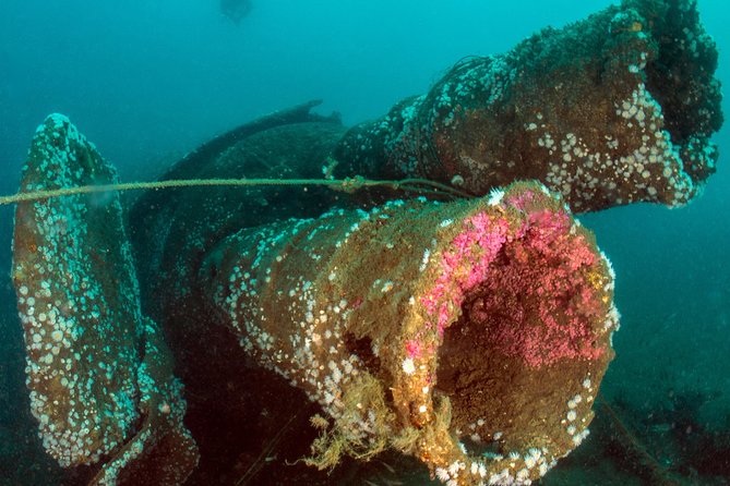 Dive the U-boat 1277, the most iconic dive in Portugal? - Who Will Love This Experience