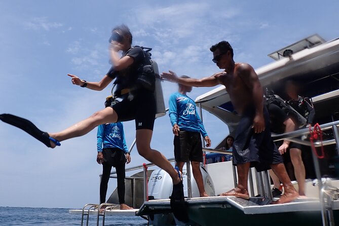 Dive Trip Experience in Koh Tao - Reviews and Authentic Experiences