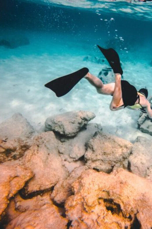 DiveSnap Underwater Sports Thrills:Lantern Point & P31 Wreck - A Day on the Water: What to Expect