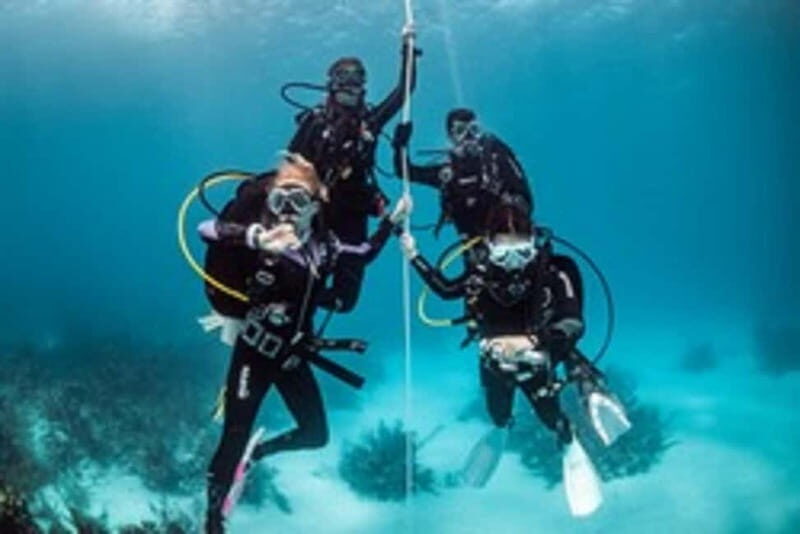 Diving - Exploring a Unique Diving Experience in Carinthia, Austria