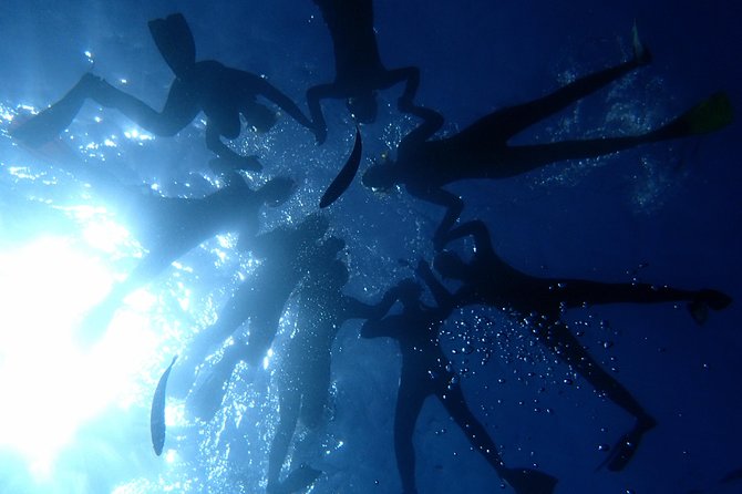 Diving Adventures - Boat and Shore Diving - The Snorkeling Sites: What’s Underwater?