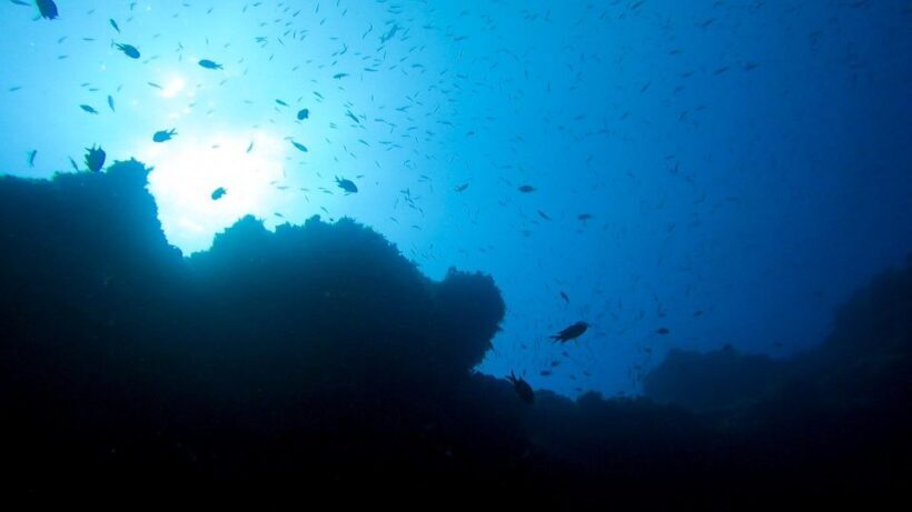 Diving at Lanzarote - 2 guided dives for certified divers - The Dive Sites and Underwater Highlights