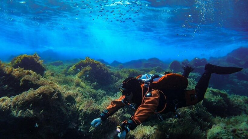 Diving at Lanzarote - 2 guided dives for certified divers - Practical Details and Tips