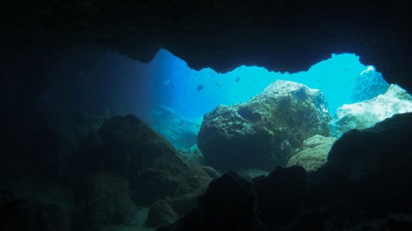 Diving at Lanzarote - 2 guided dives for certified divers - Who Will Love This Experience?